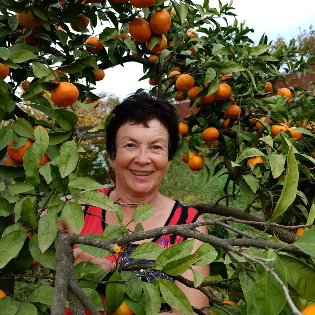 Иконка канала Чайка