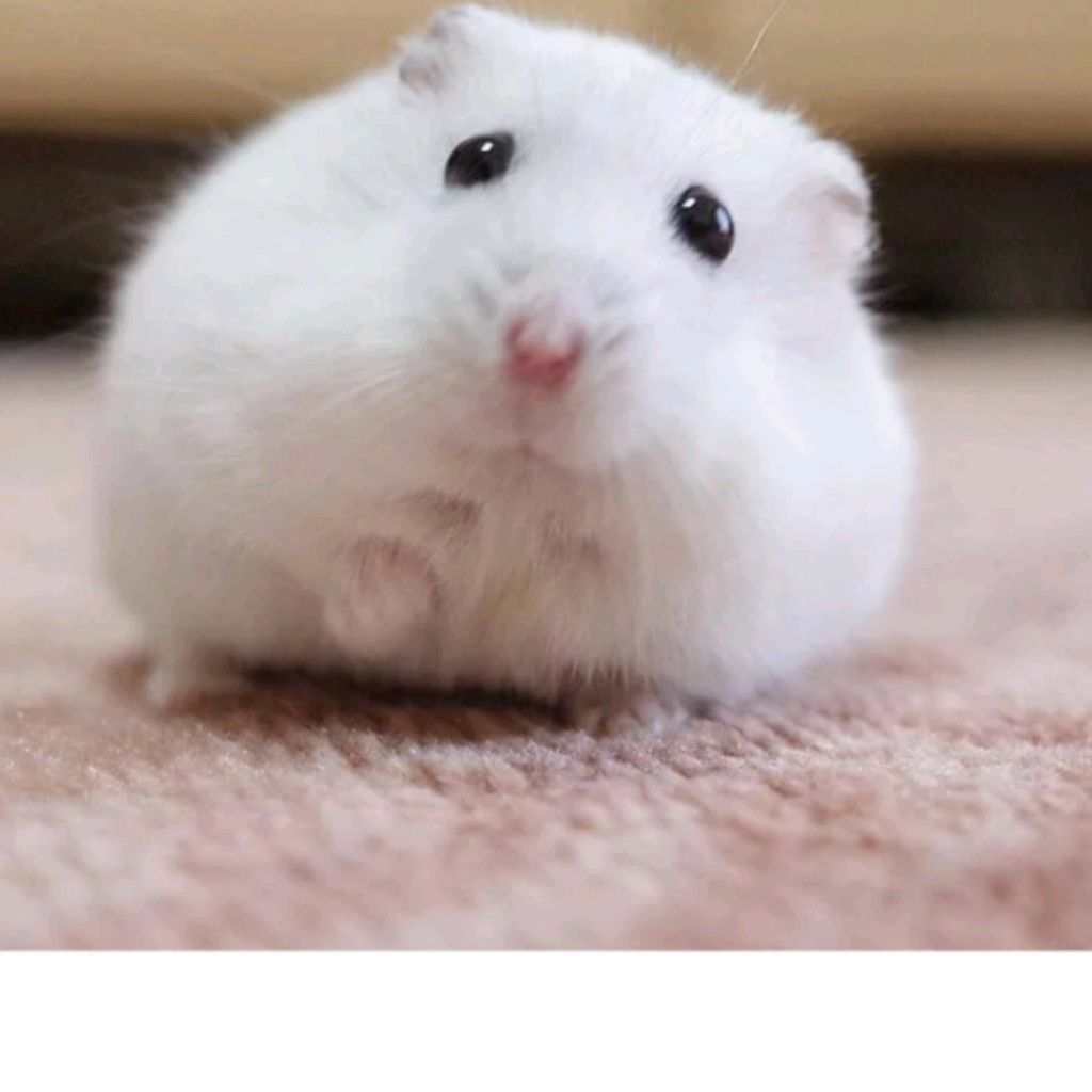 Иконка канала Разные Приколы 🫠🫠🫠😁😁