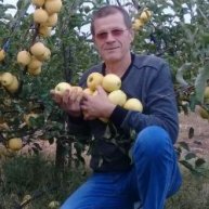 Иконка канала Каменка-Днепровская Александр Алешин