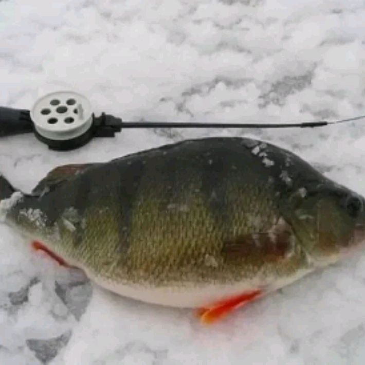 Иконка канала Рыбак Бурятии