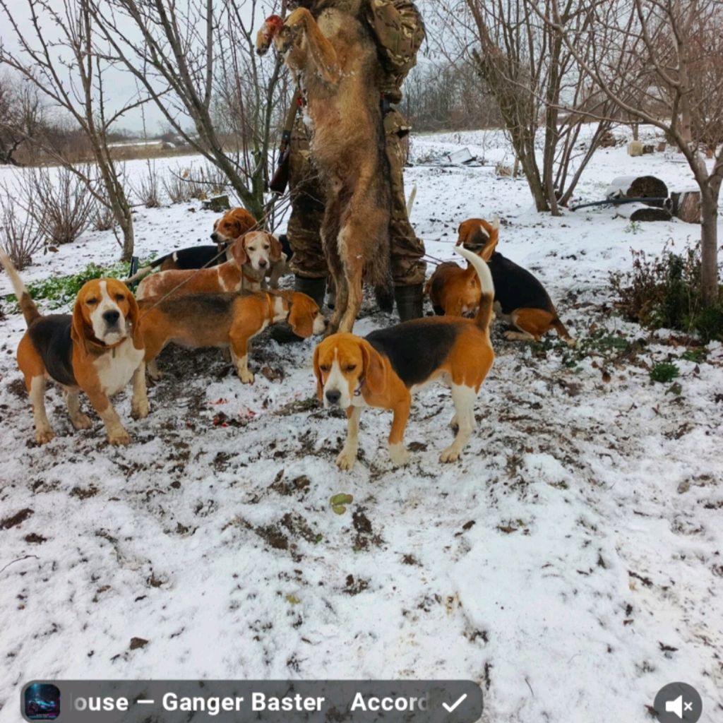 Иконка канала Без охоты жизни нет