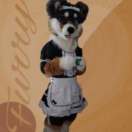 Иконка канала Cuci Furry