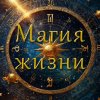 Иконка канала Магия жизни