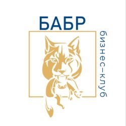 Иконка канала БИЗНЕС-КЛУБ "БАБР"
