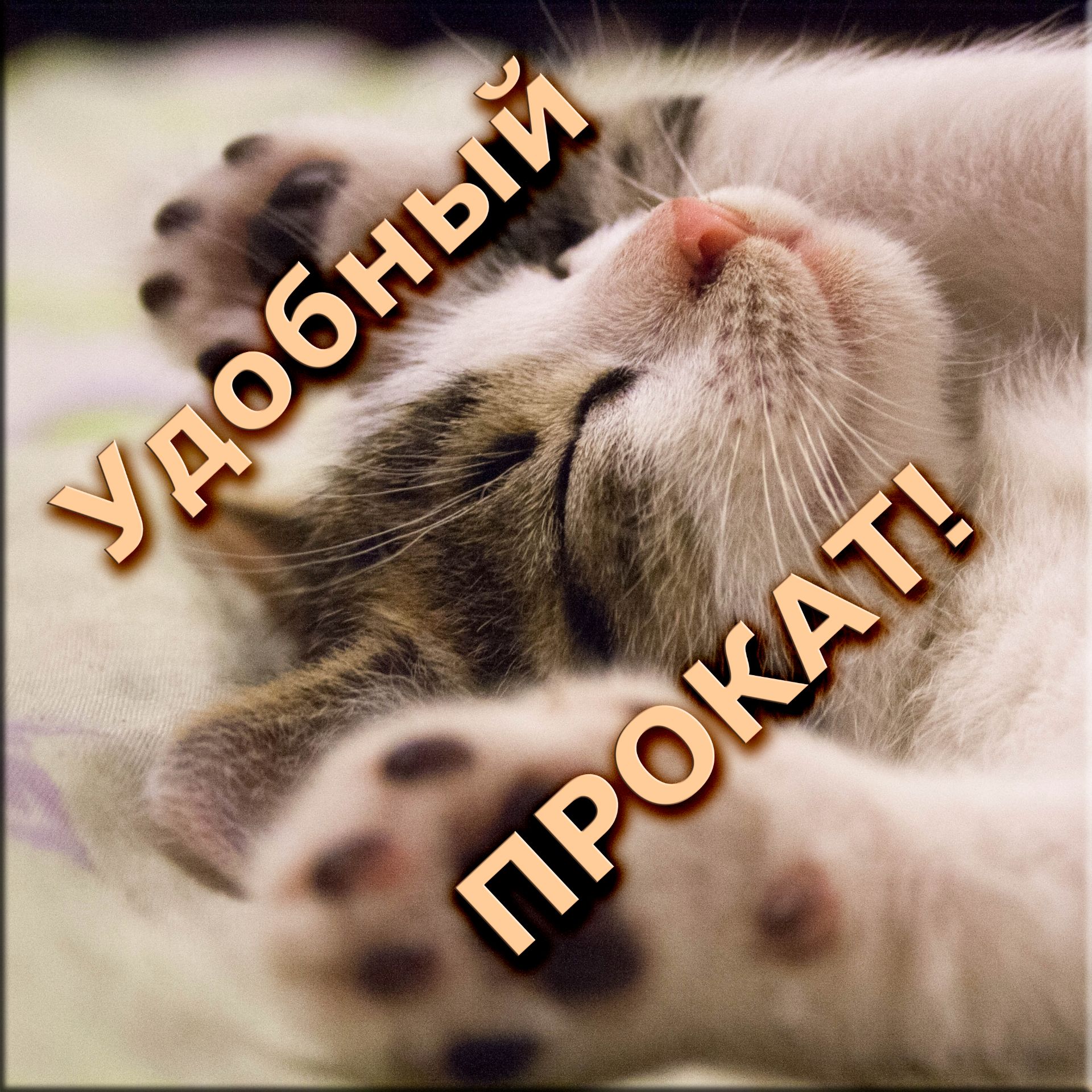 Иконка канала Удобный прокат Тюмень