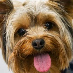 Иконка канала Флюра