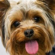 Иконка канала Флюра