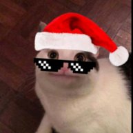 Иконка канала ШлепаПро