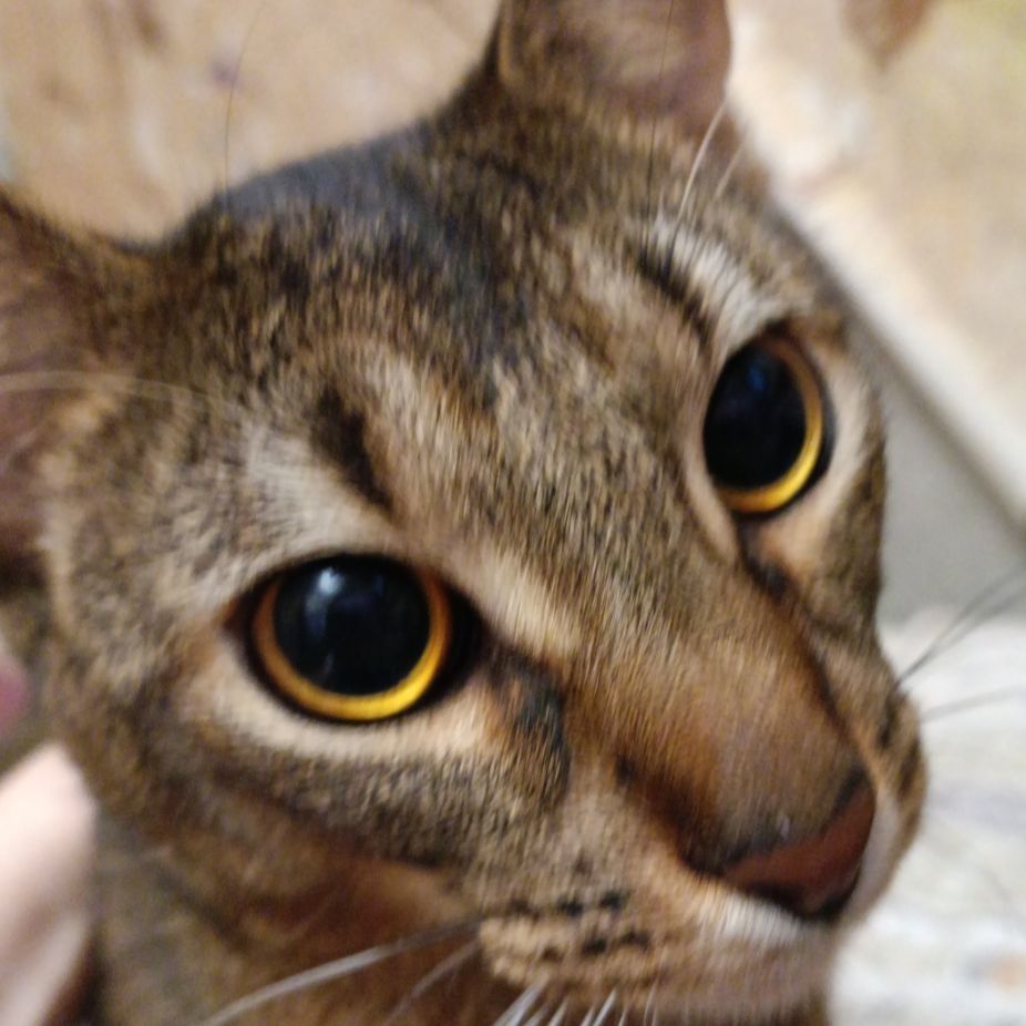 Иконка канала vica ^⁠_⁠^