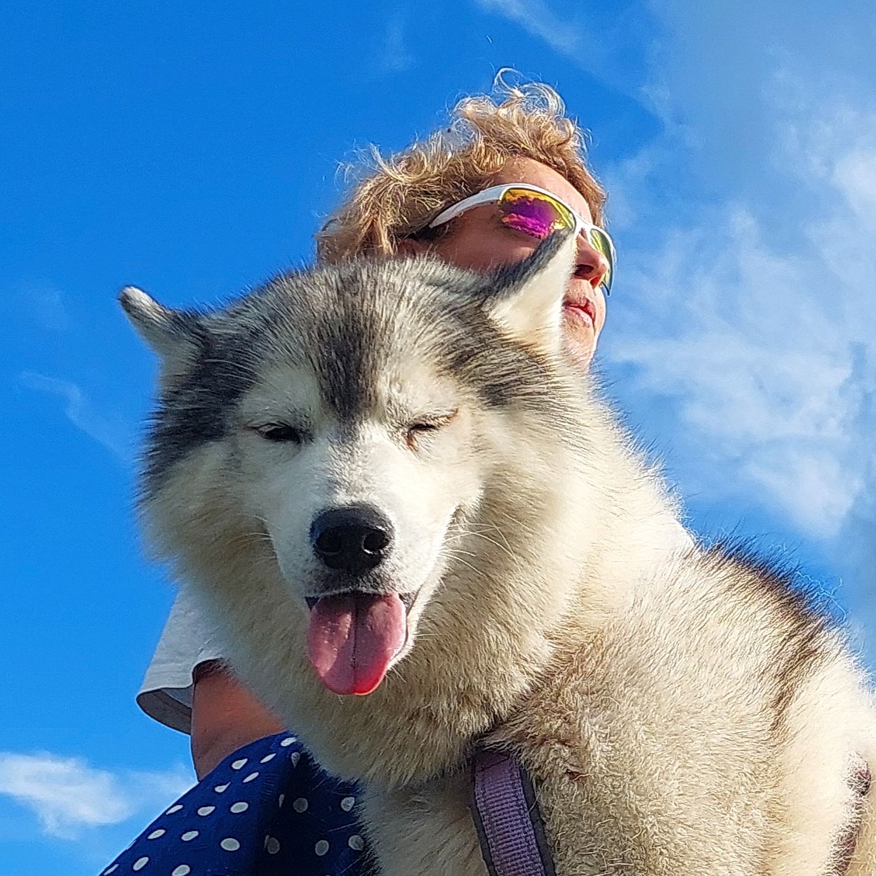 Иконка канала Лесные вариации