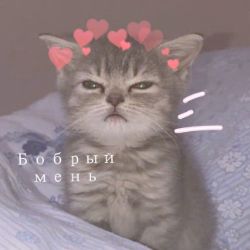 Иконка канала channel74796076