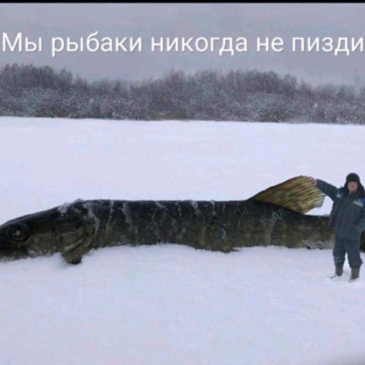 Иконка канала Радмиль 2573