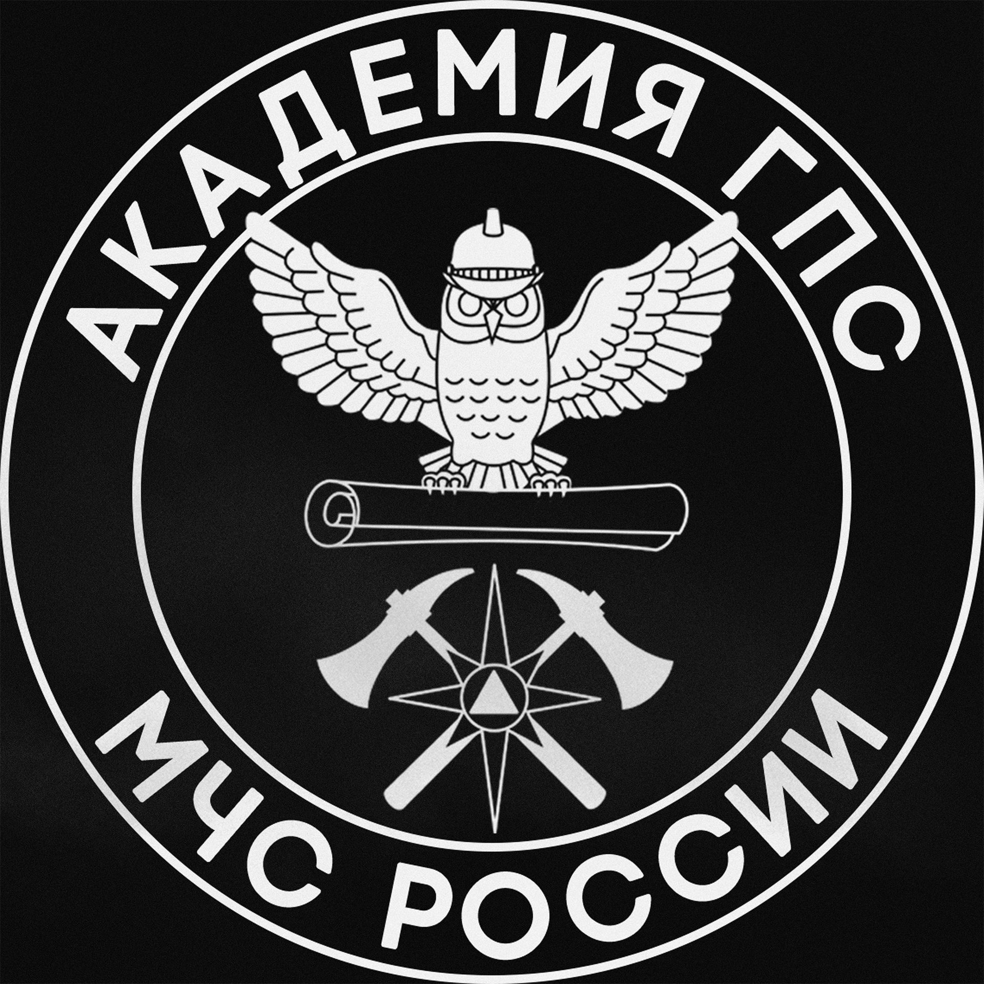 Иконка канала Академия ГПС МЧС России