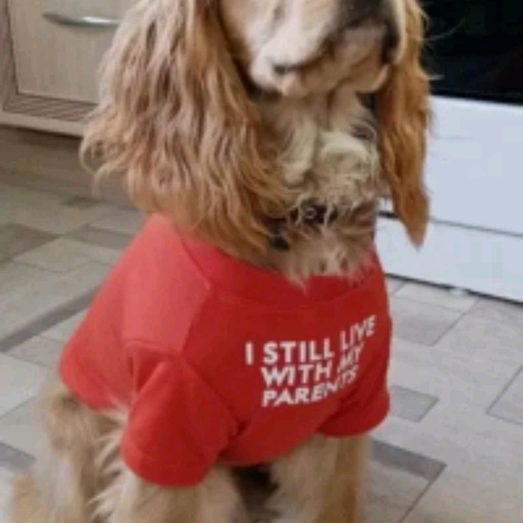 Иконка канала Что-то