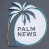 Иконка канала Palm news 📰