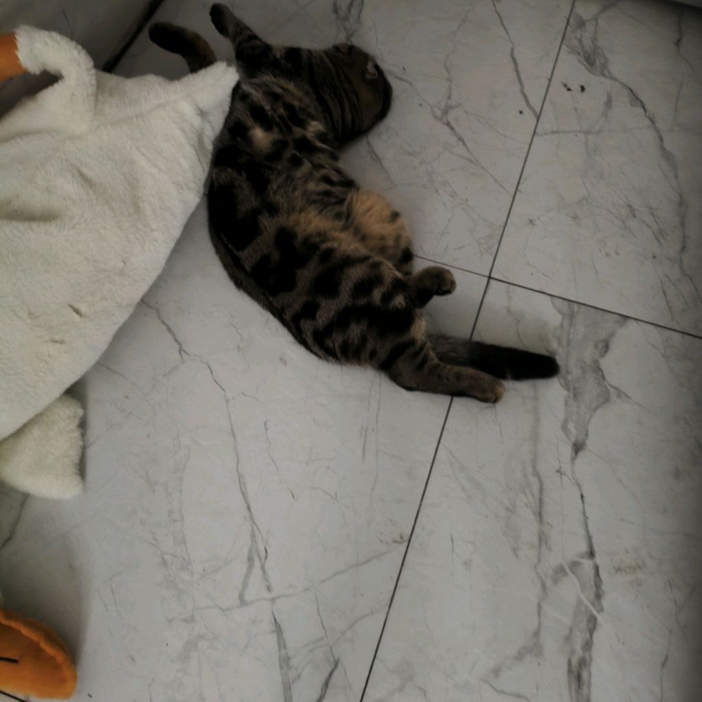 Иконка канала Аня