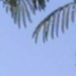 Иконка канала Светлана Орлова