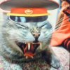 Иконка канала Капитан Далболом