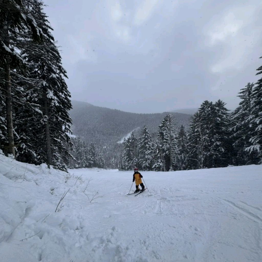 Иконка канала Лисята