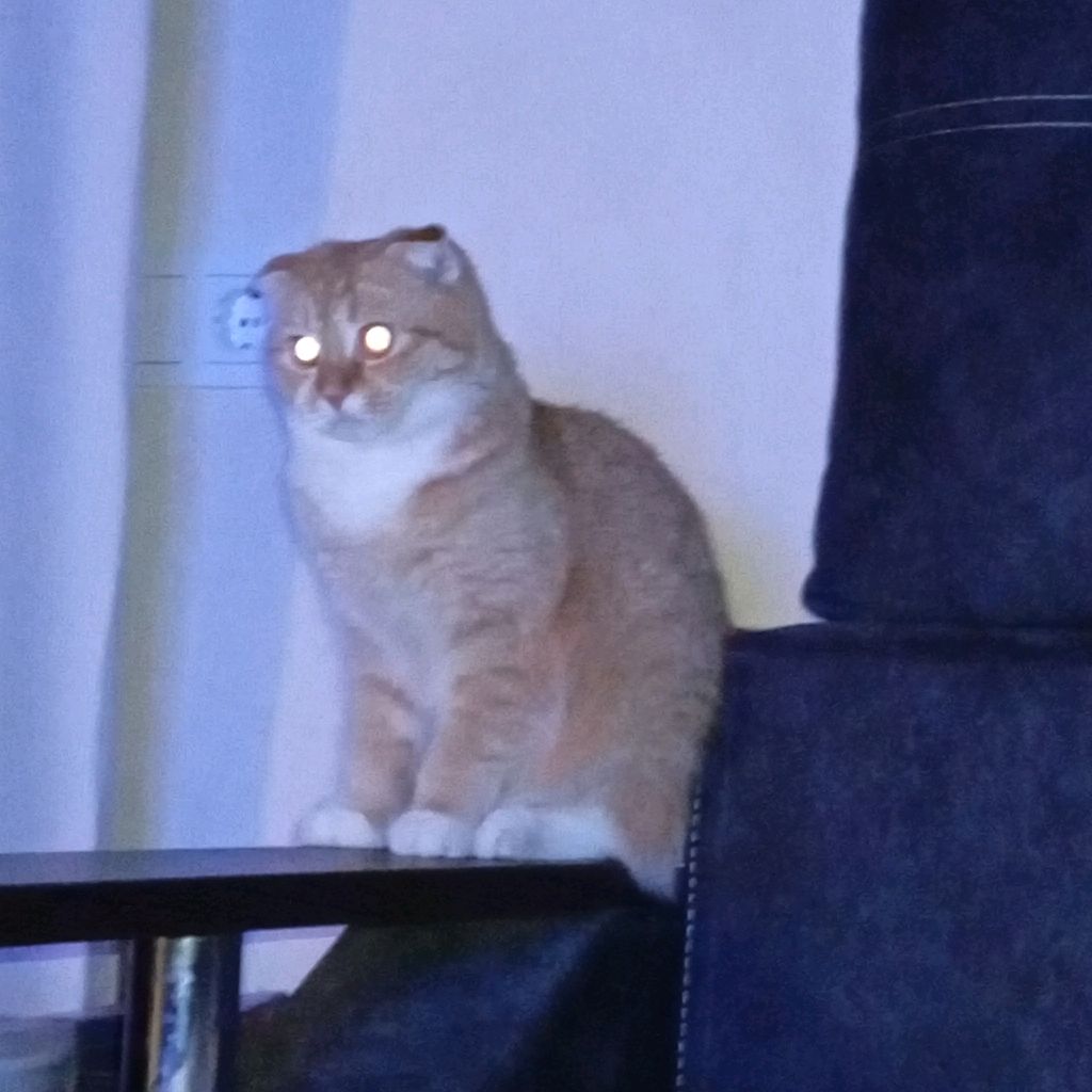 Иконка канала ❤️🔥🍫Луна Cat🍫❤️🔥