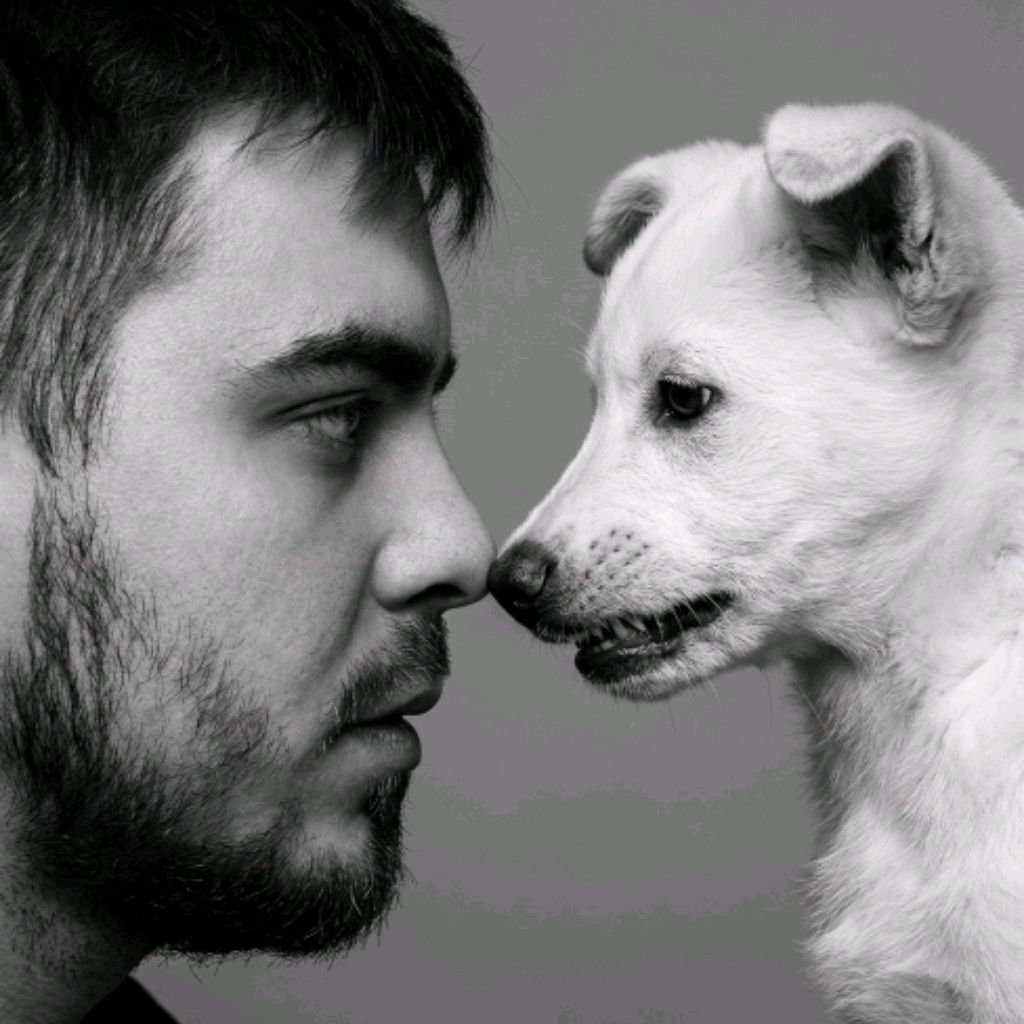 Иконка канала Ivan Дудэй