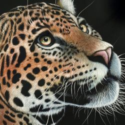 Иконка канала Татьяна