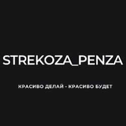 Иконка канала strekoza_penza