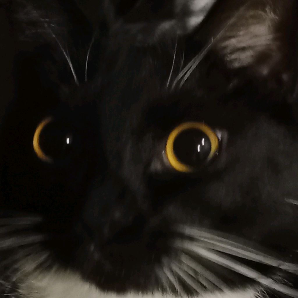 Иконка канала Мир Распаковок✅