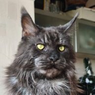 Иконка канала work_life_backend