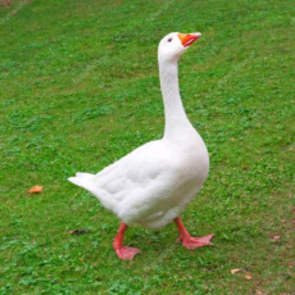 Иконка канала Pasha777k