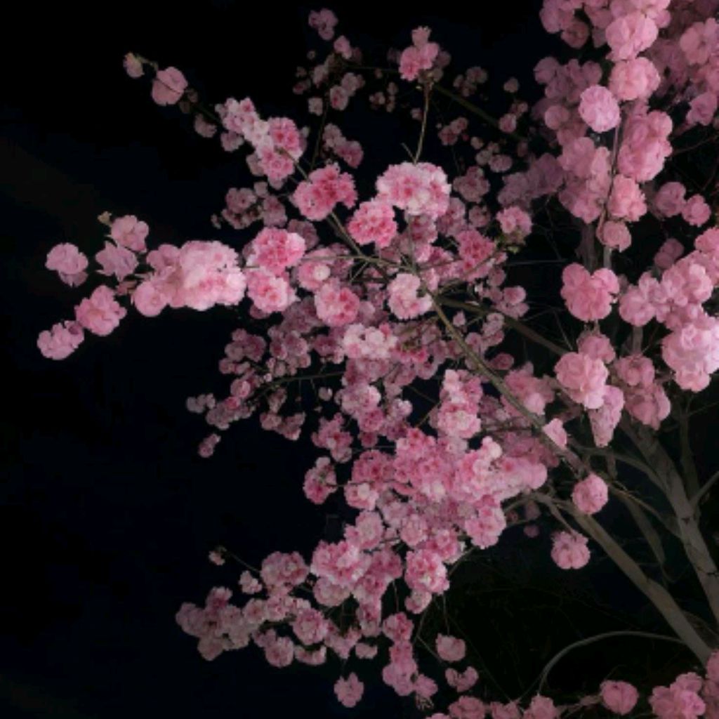 Иконка канала Жемчужинка🦪