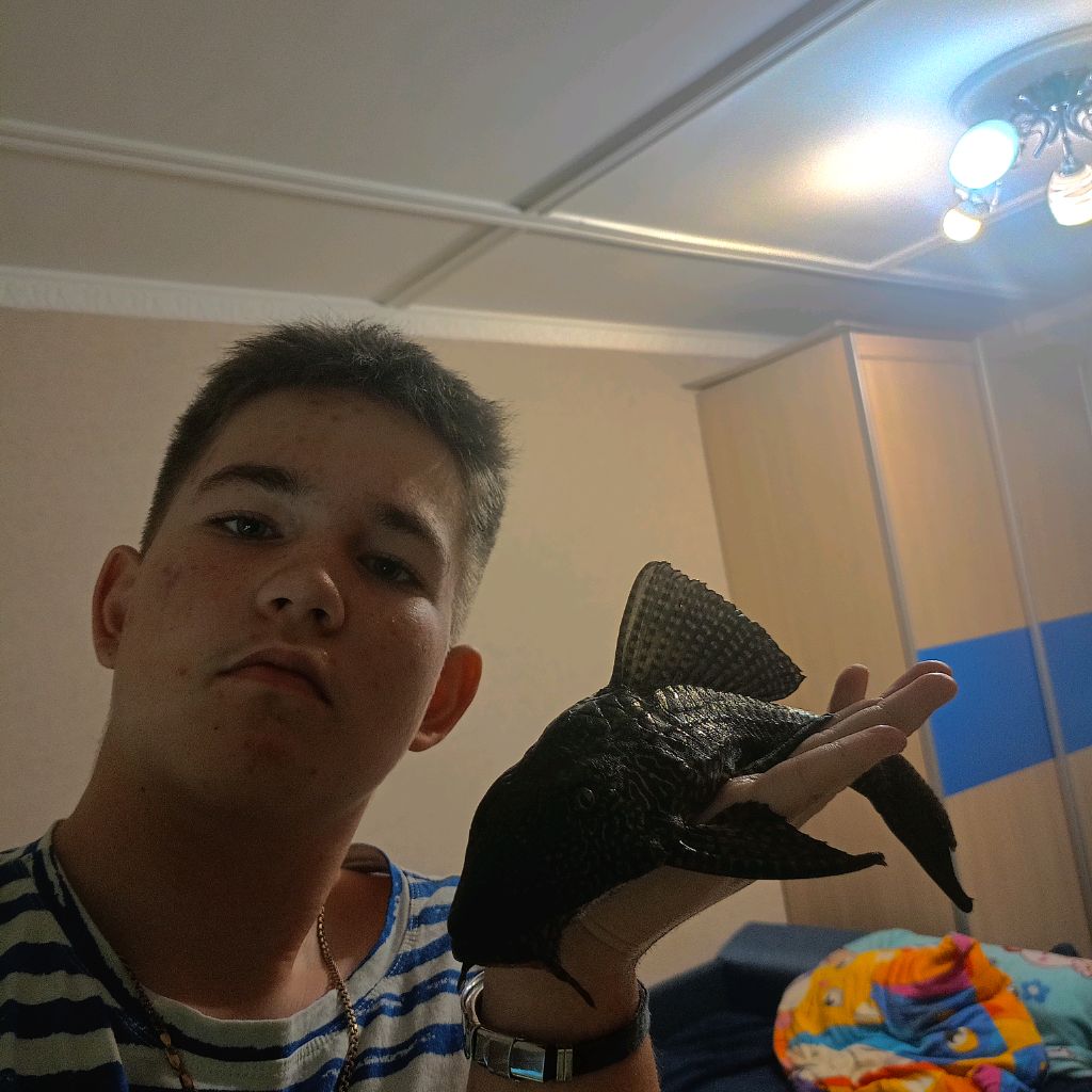 Иконка канала Влад «Рыба-Авто» Изучаем природу и машины
Слоган: