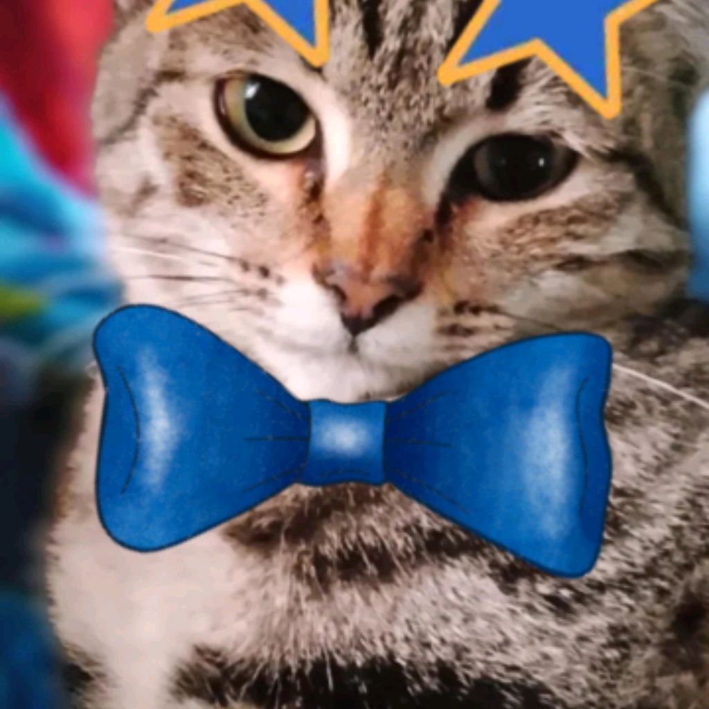 Иконка канала Школа Котят