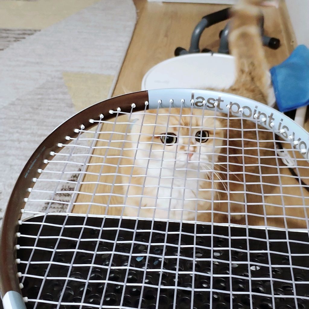 Иконка канала goodday21