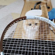 Иконка канала goodday21