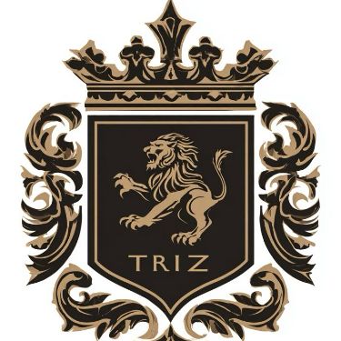 Иконка канала ТРИЗ-Академия Евгения ЗА-ха-рова