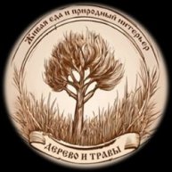 Иконка канала Дерево и Травы • Живая еда и природный интерьер