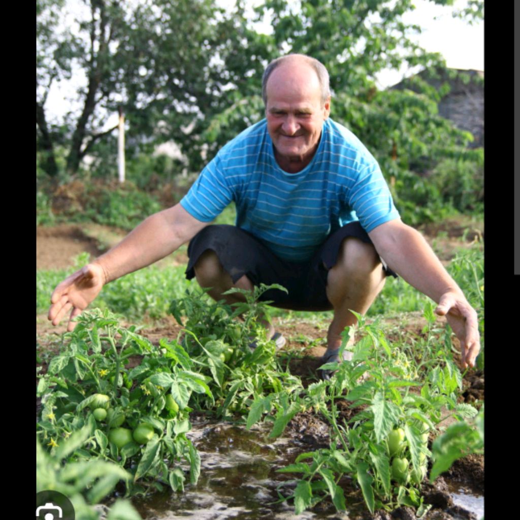 Иконка канала Старый дед Василий