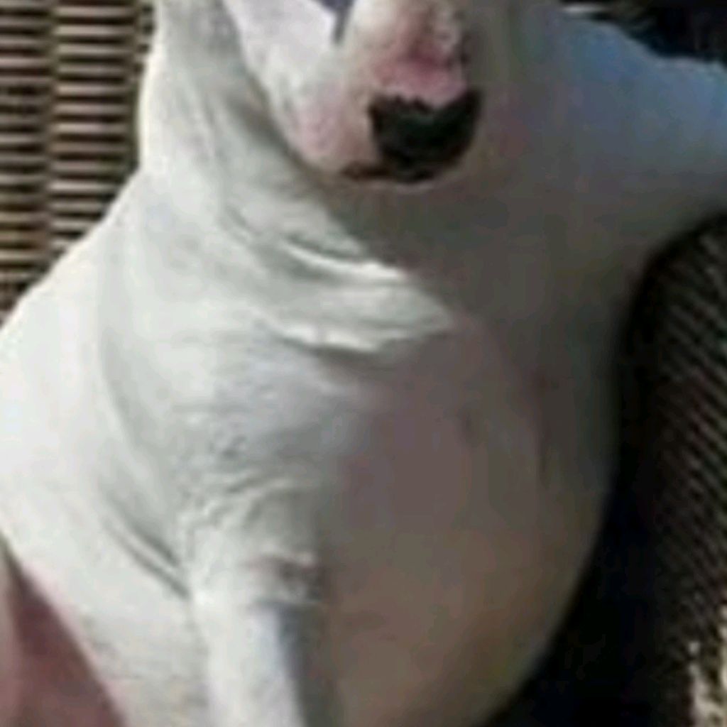 Иконка канала Dj. Буль