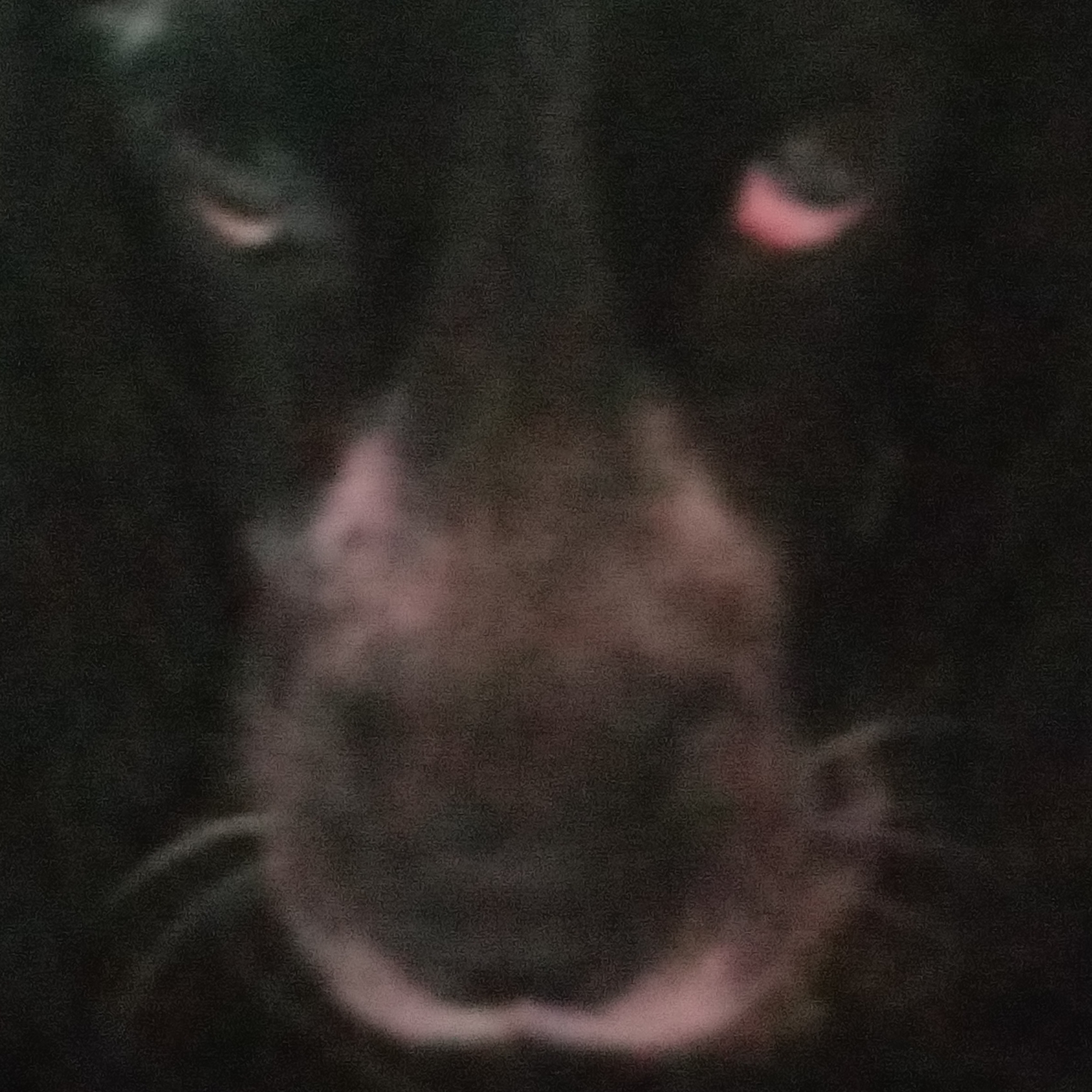 Иконка канала КОСТЯ ДАНЯ И ДРУГ