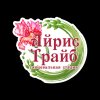 Иконка канала Айрис Трайб | Танцевальная трайбл-студия