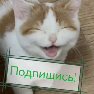 Иконка канала Крутой Тима