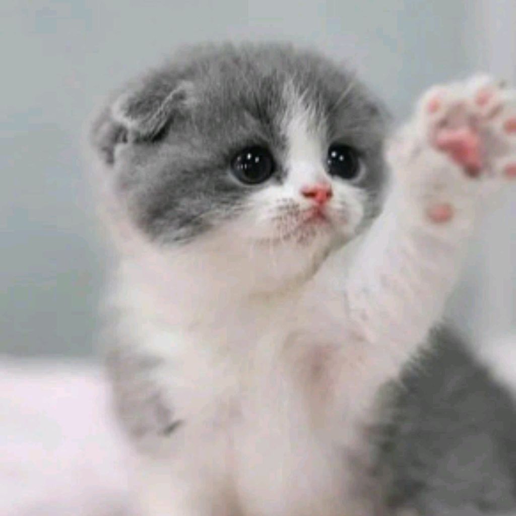 Иконка канала Бумажные Туториалы