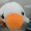 Иконка канала Killer duck