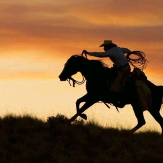 Иконка канала SAGIN