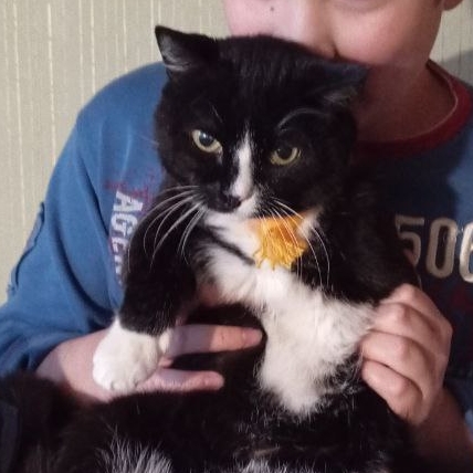 Иконка канала Tihon