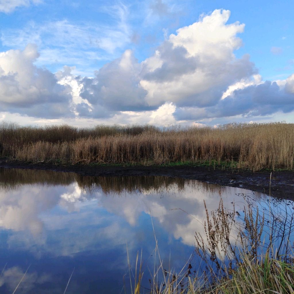 Иконка канала Радости Свет