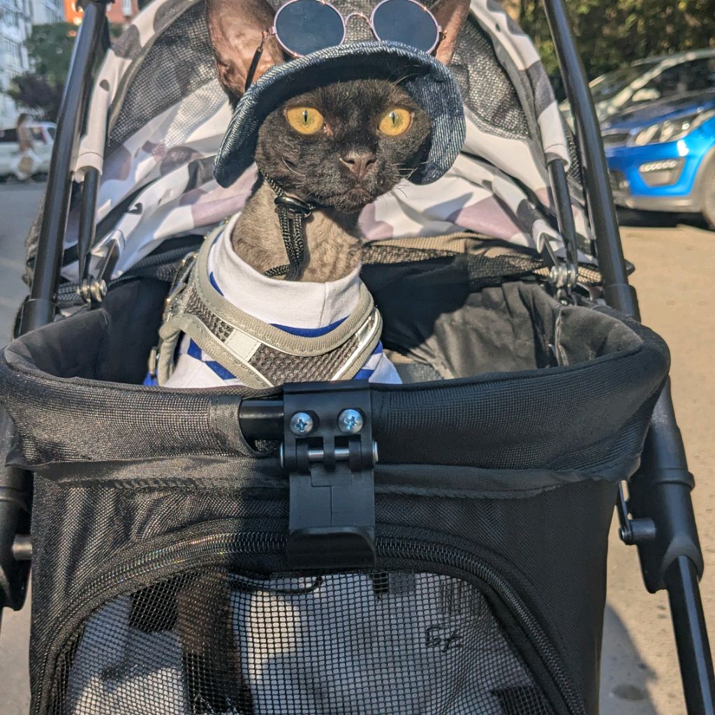 Иконка канала MagicCat