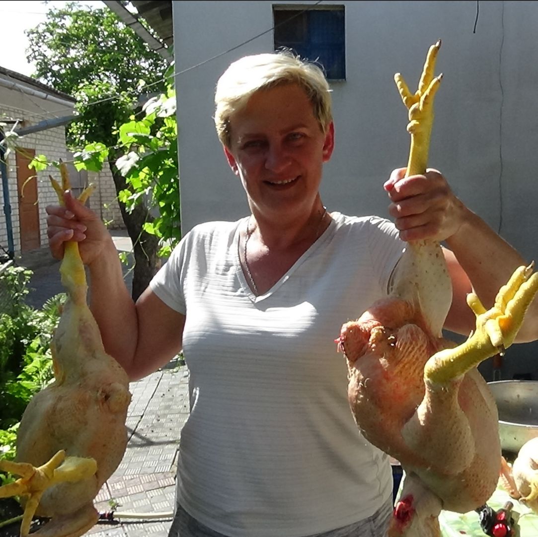 Иконка канала Бройлерная кухня - выращиваем дома