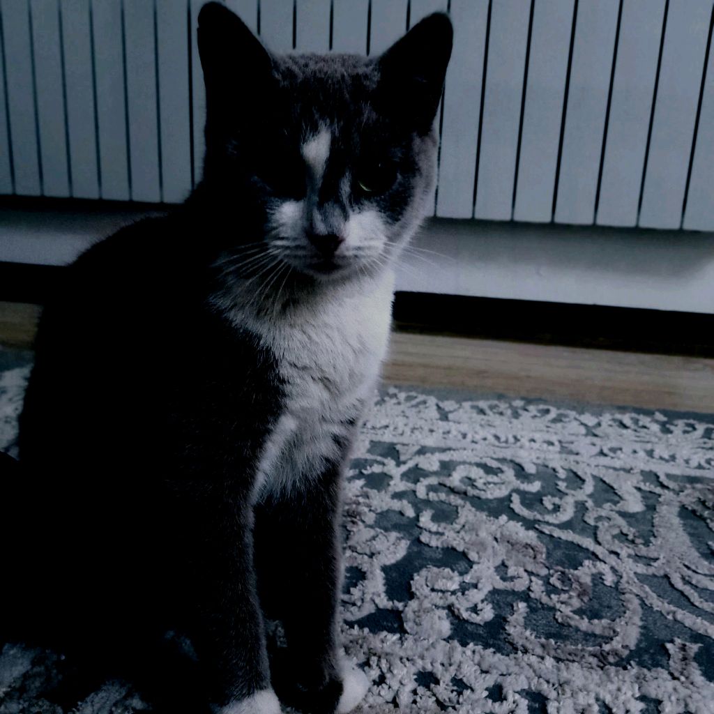 Иконка канала R.Mayk